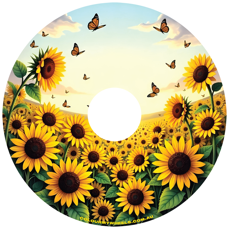 Sunflower Field | CMW Collection – Colour My Wheels