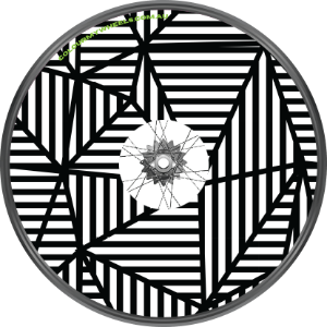 Zany Monochrome | CMW Collection – Colour My Wheels