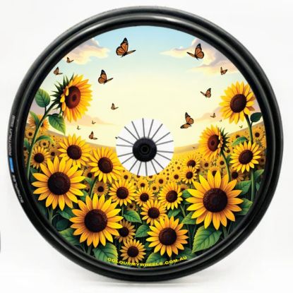 Sunflower Field | CMW Collection – Colour My Wheels